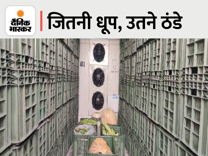 Cold stores have been built in 3 villages of Firozabad, farmers keep ...