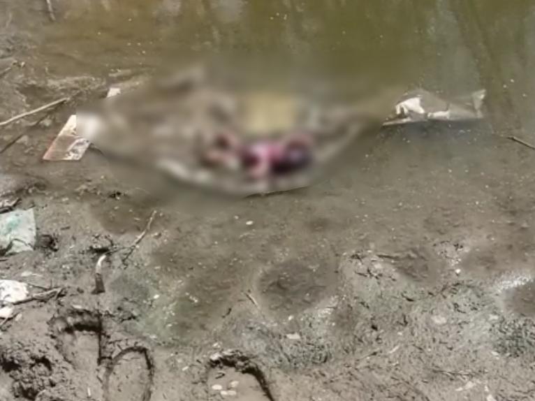 Due to being two to three days old dead body got injured, police ...