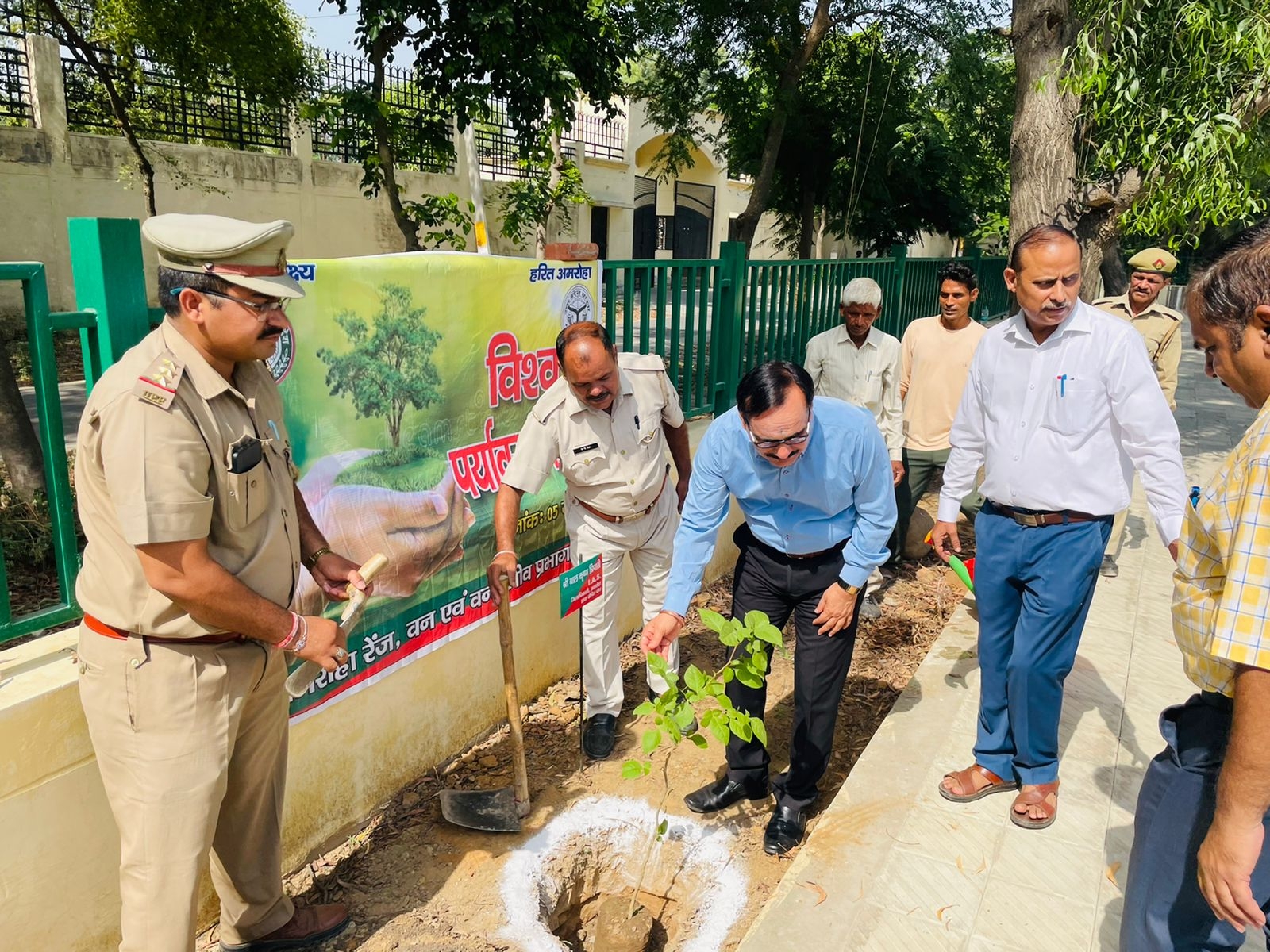 DM planted saplings in Amroha, plants are essential for life, easy ...