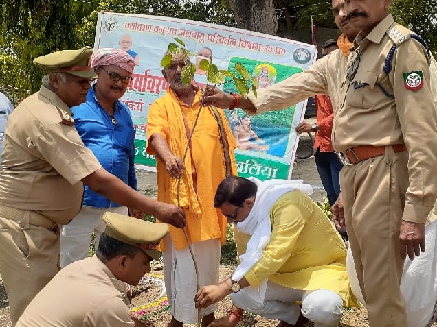 The birthday of the head of the state was celebrated with plantation in ...