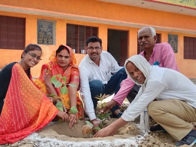 Trees of Harishankari Vatika planted in villages, plantation done in 67 ...