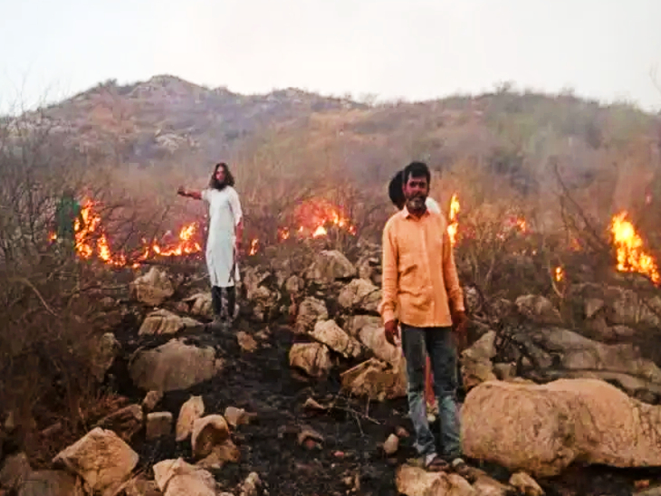 Rajasthan Jhalana forest Fire Case: Forest burnt up to 4 hectares in ...