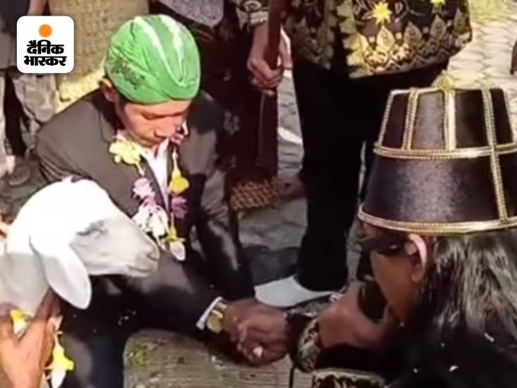 Indonesia Man Marries Female Goat; Wedding Ceremony Video Viral On ...