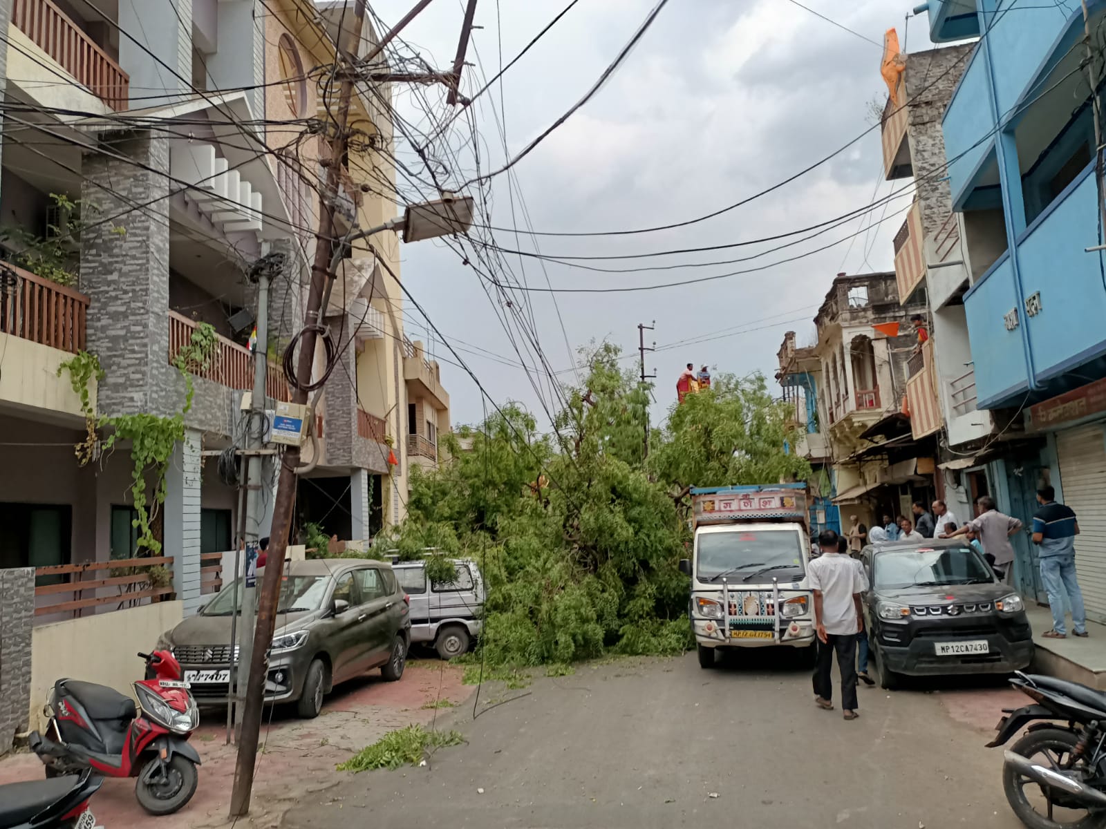 Year old neem tree fell in Ramkrishnaganj, power supply remained closed ...