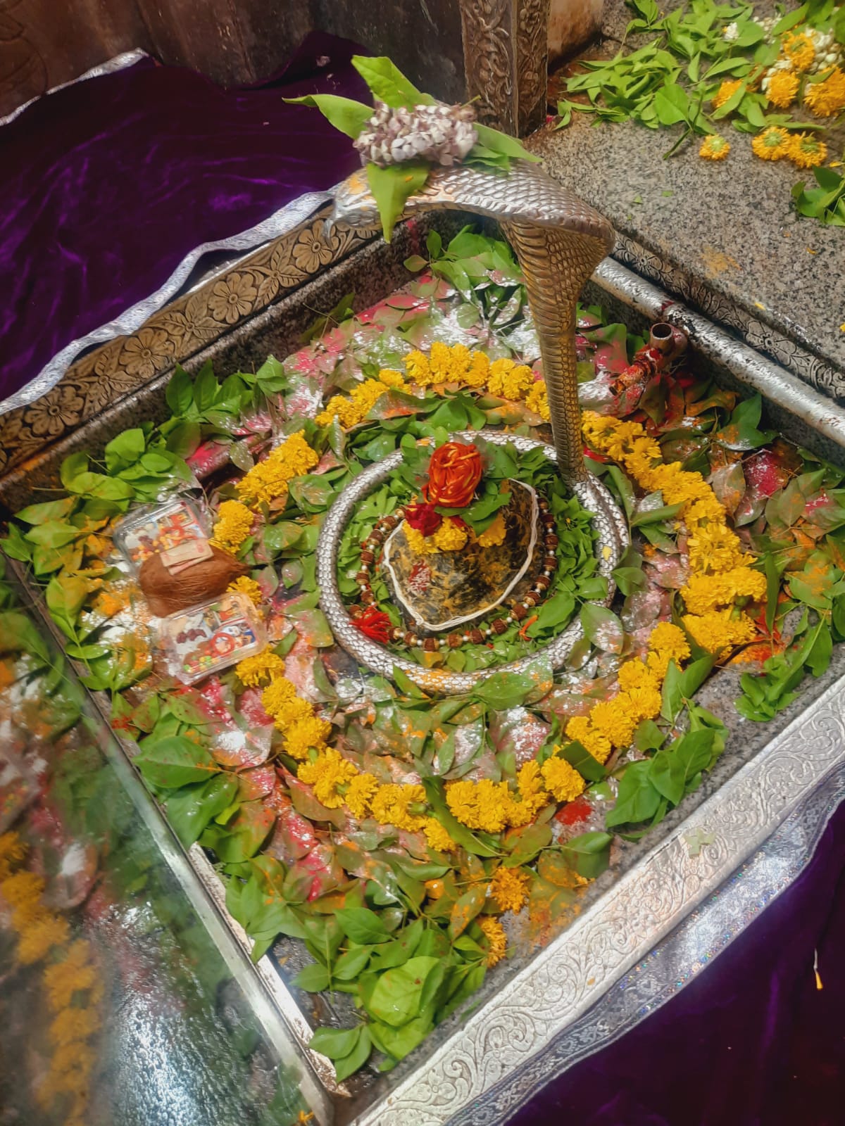 Abir-Gulal, flower-belpatra make up of Shankar Mahadev, do… Mangala ...