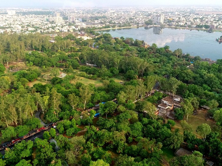 Changed the climate of CV Garden, planted 6 thousand new trees | 350 ...