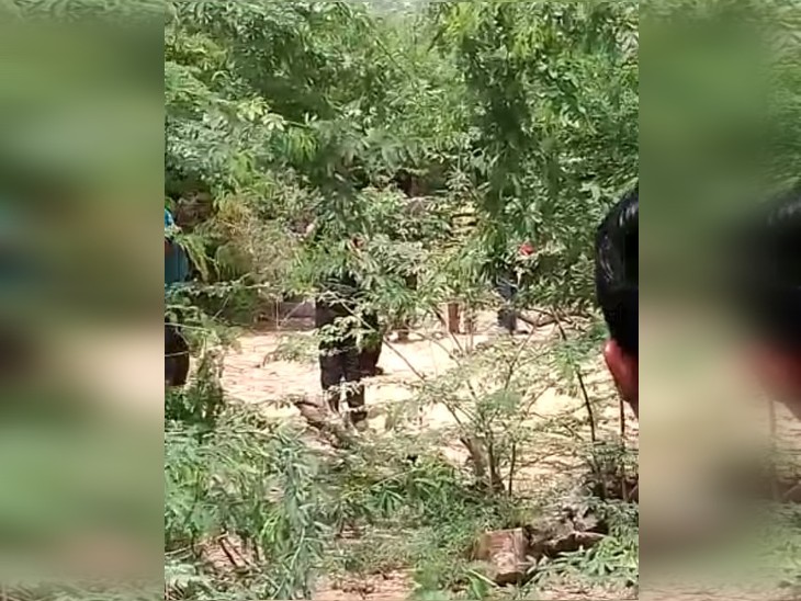 rajasthan barmer samdari Newborn was born 24 hours ago, villagers got ...