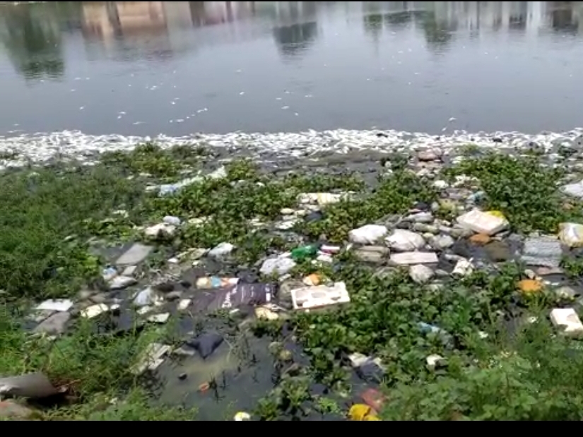 Due to unknown reasons, lakhs of fish died in Pandey pond, people's ...