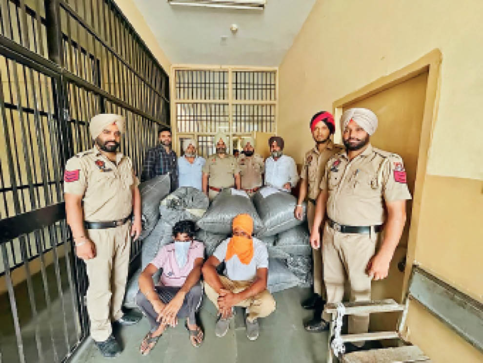 Case in Rajasthan on accused arrested with 240 kg of Bhukki | कार्रवाई ...