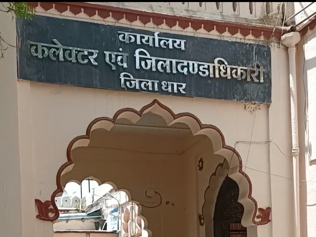 The status of the names of Sarpanch, Panch and Jap members will be ...