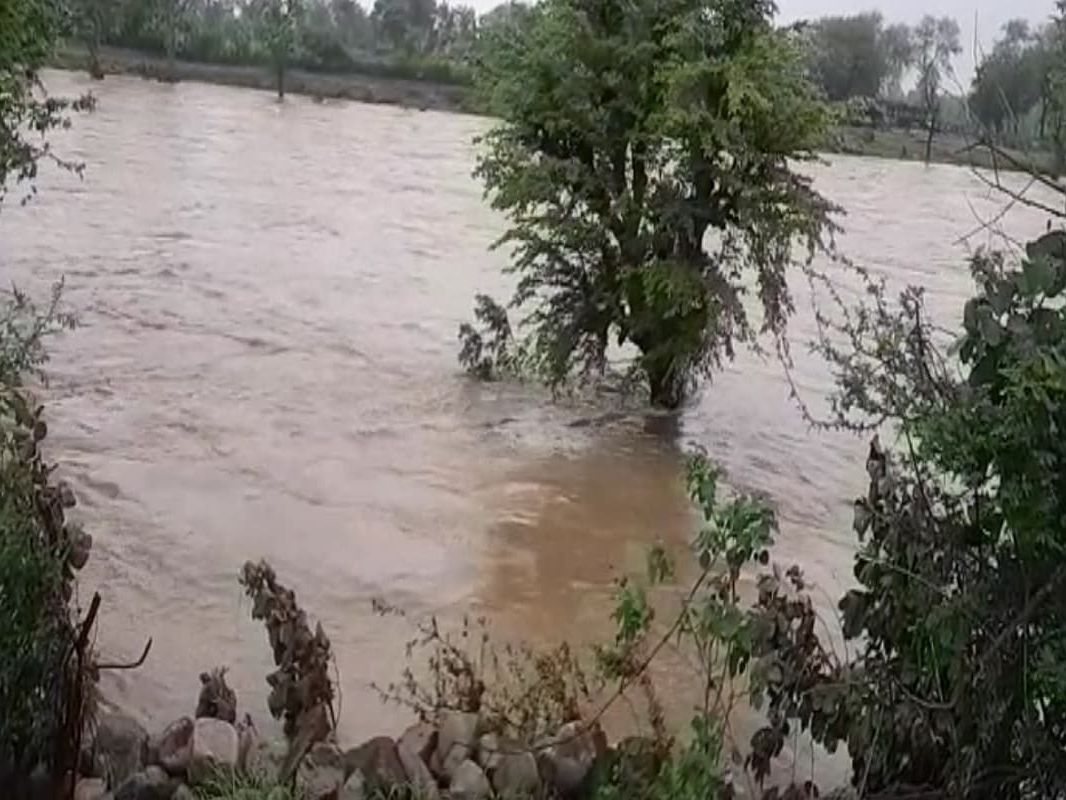 बालाघाट (मध्य प्रदेश) | Balaghat (Madhya Pradesh) - Dainik Bhaskar