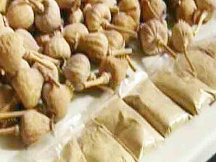 131 kg doda poste and 600 g opium recovered, three smugglers arrested ...