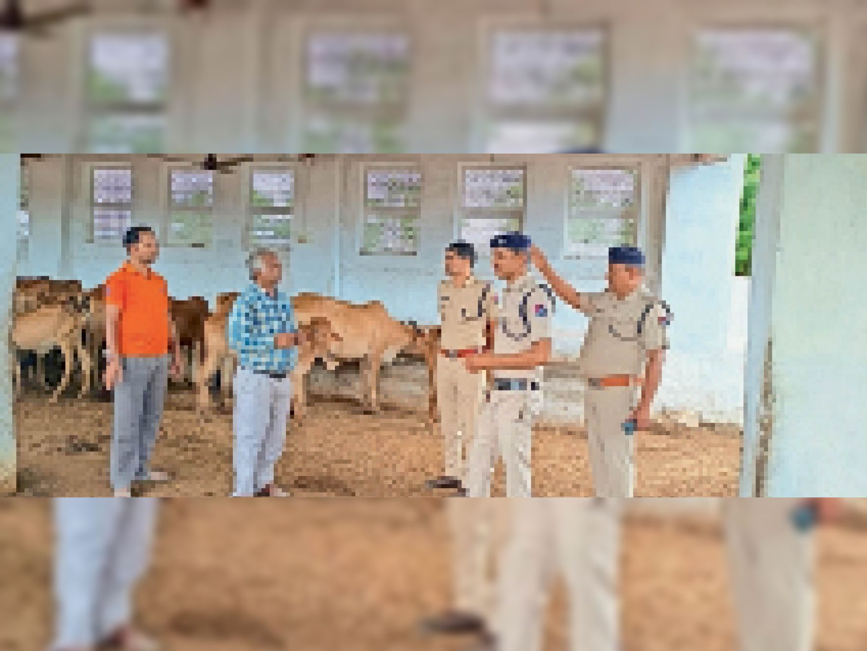 पाली | Pali (Marwar) - Dainik Bhaskar