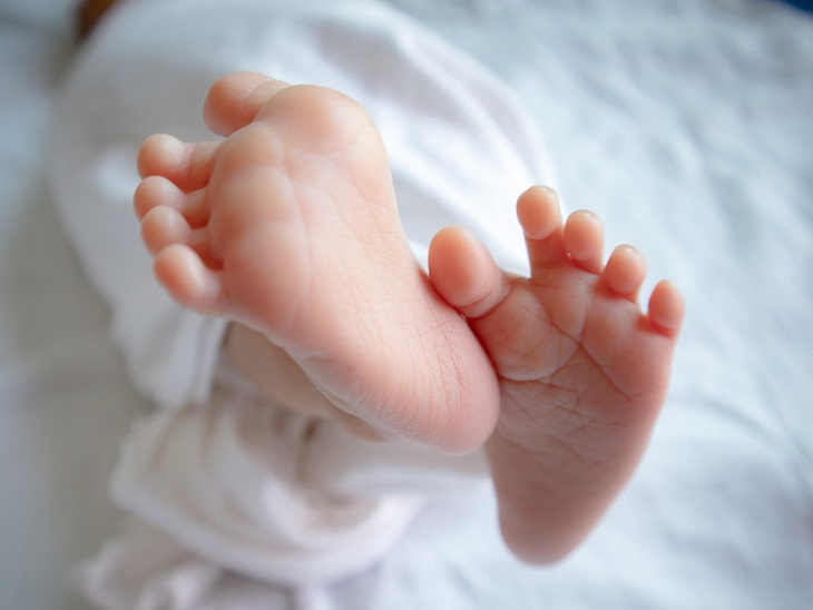 अम्बाला | Ambala - Dainik Bhaskar