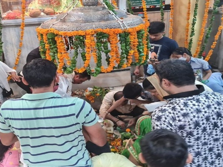 रेवाड़ी | Rewari - Dainik Bhaskar