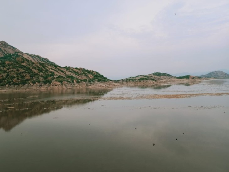 पाली | Pali (Marwar) - Dainik Bhaskar