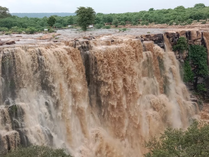 राजस्थान | Rajasthan - Dainik Bhaskar