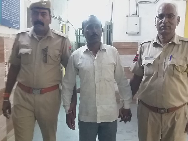 पाली | Pali (Marwar) - Dainik Bhaskar