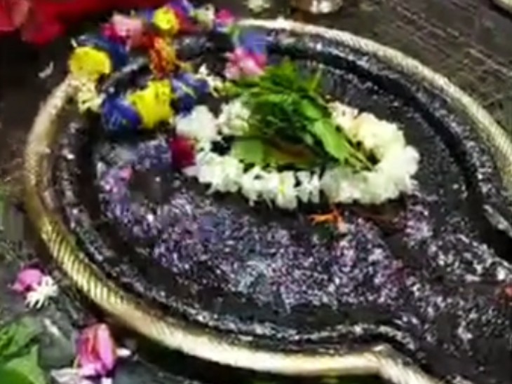 From the forests of Uttarakhand to Chhattisgarh, they bring Bel leaves ...