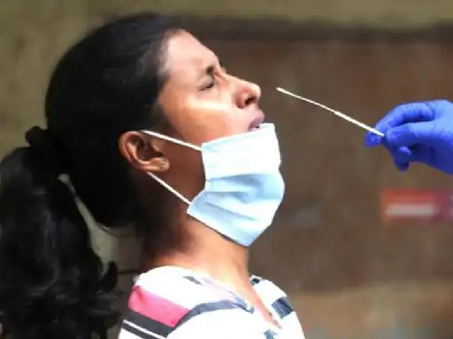 अलवर | Alwar - Dainik Bhaskar