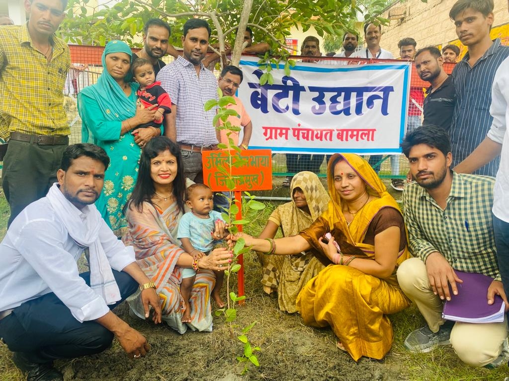 The district head got a plant planted by the girl's hands in Bamla Gram ...
