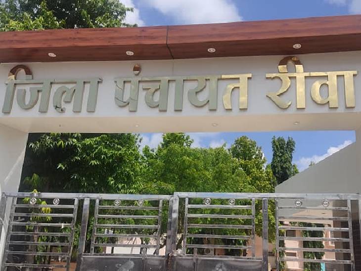 रीवा | Rewa - Dainik Bhaskar