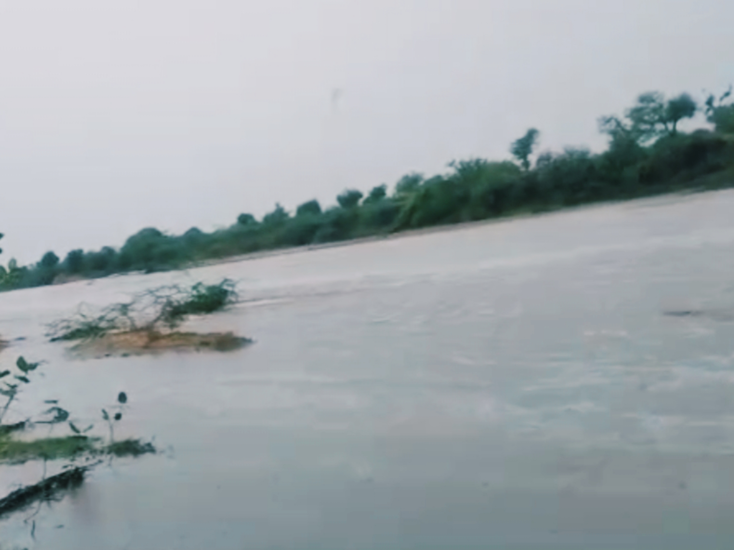 27 mm of rain fell in Raniwada, Padavi river flowed at full speed ...