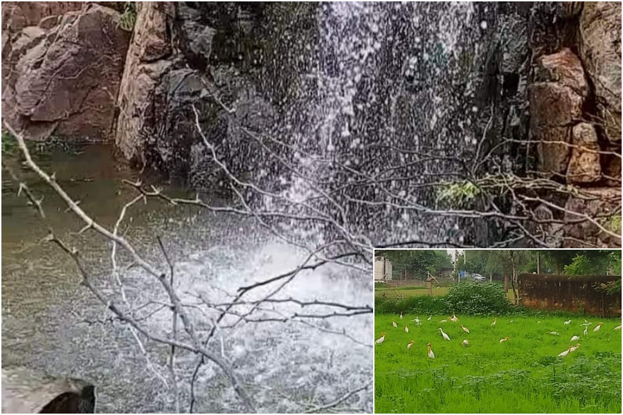 Flow of waterfall in Aravalli hills will increase movement, see ...