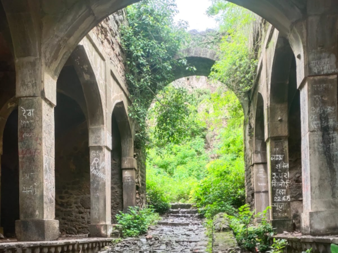 800 year old Asirgarh Fort needs protection, surrounded by bushes ...