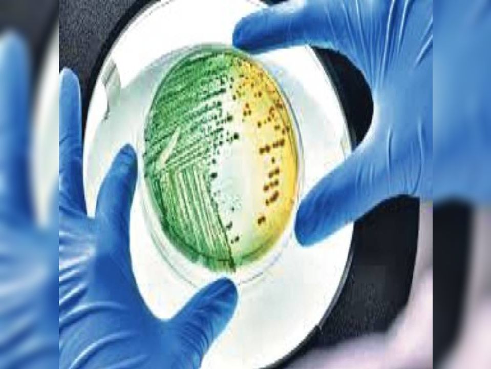 Food Microbiology Lab will open in 5 districts including Jaipur, Food ...