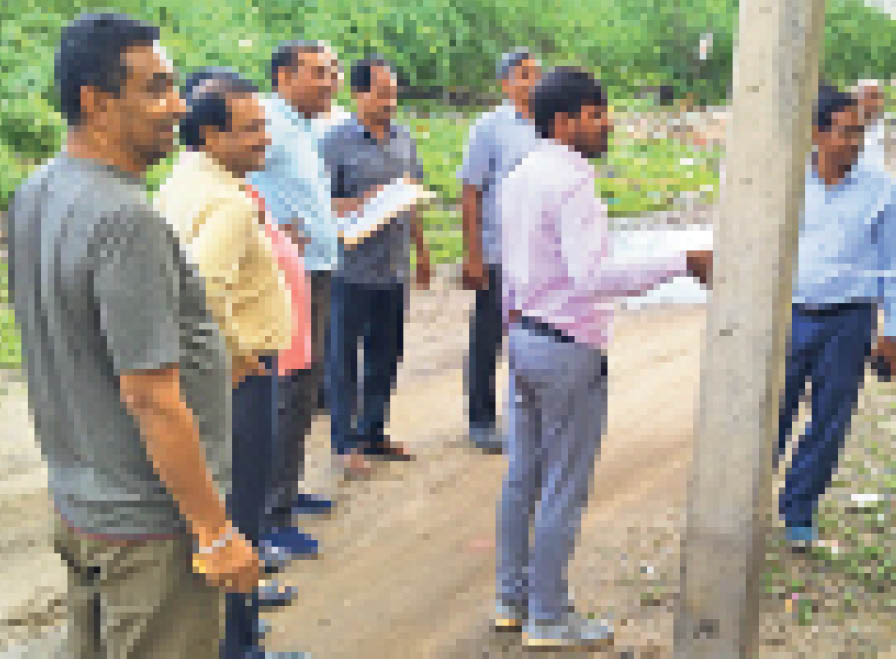 पाली | Pali (Marwar) - Dainik Bhaskar