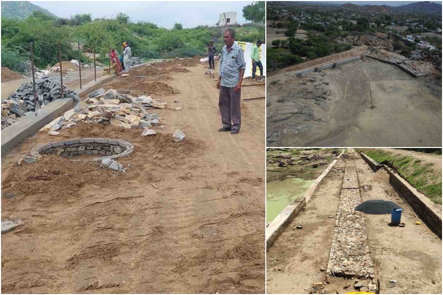 पाली | Pali (Marwar) - Dainik Bhaskar