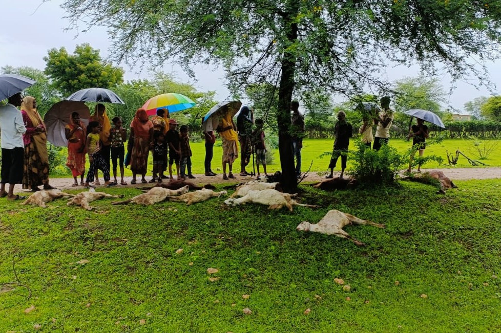 Devli village incident, owner's weeping bad condition | बिजली गिरने से ...