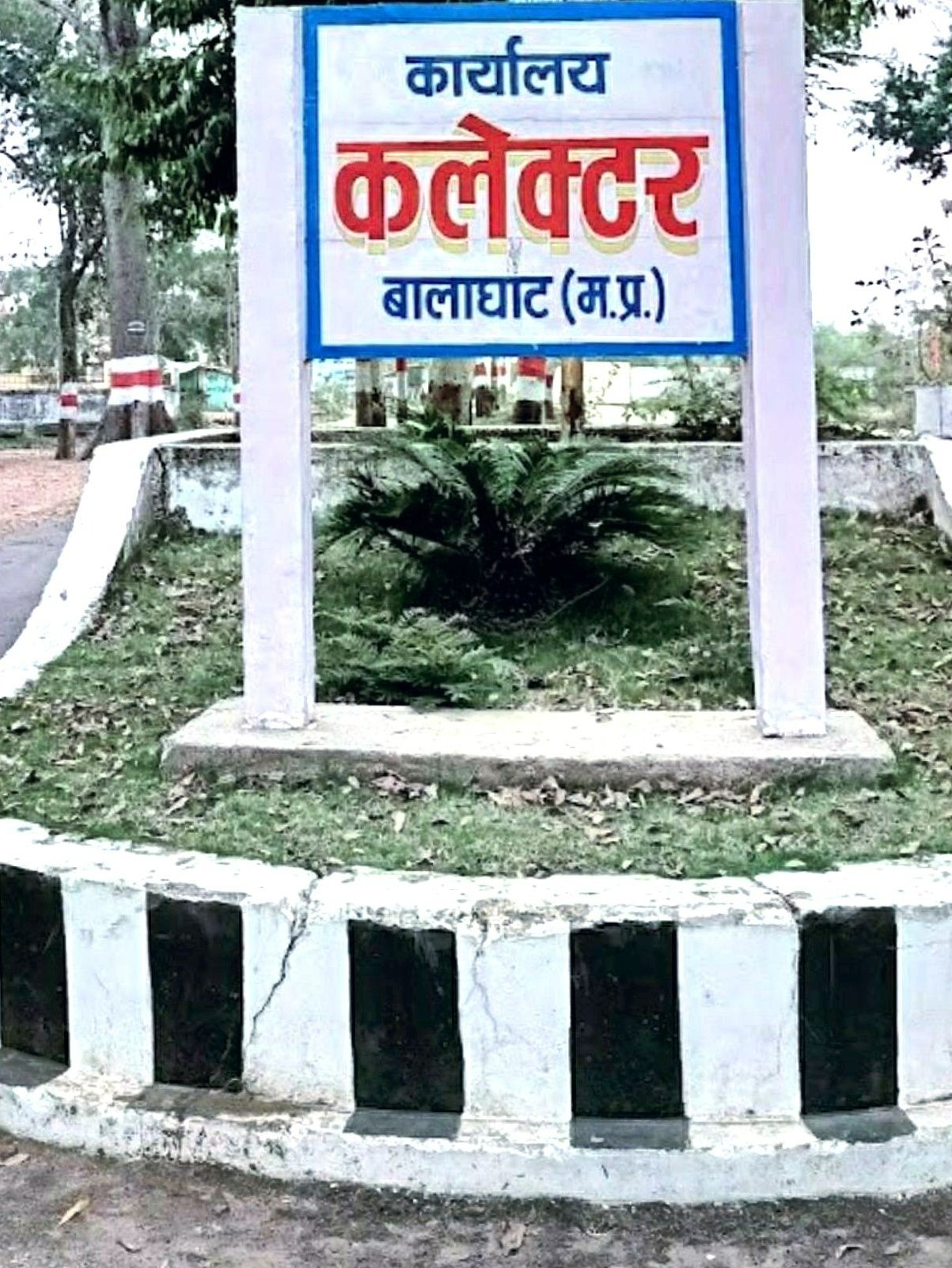 बालाघाट (मध्य प्रदेश) | Balaghat (Madhya Pradesh) - Dainik Bhaskar