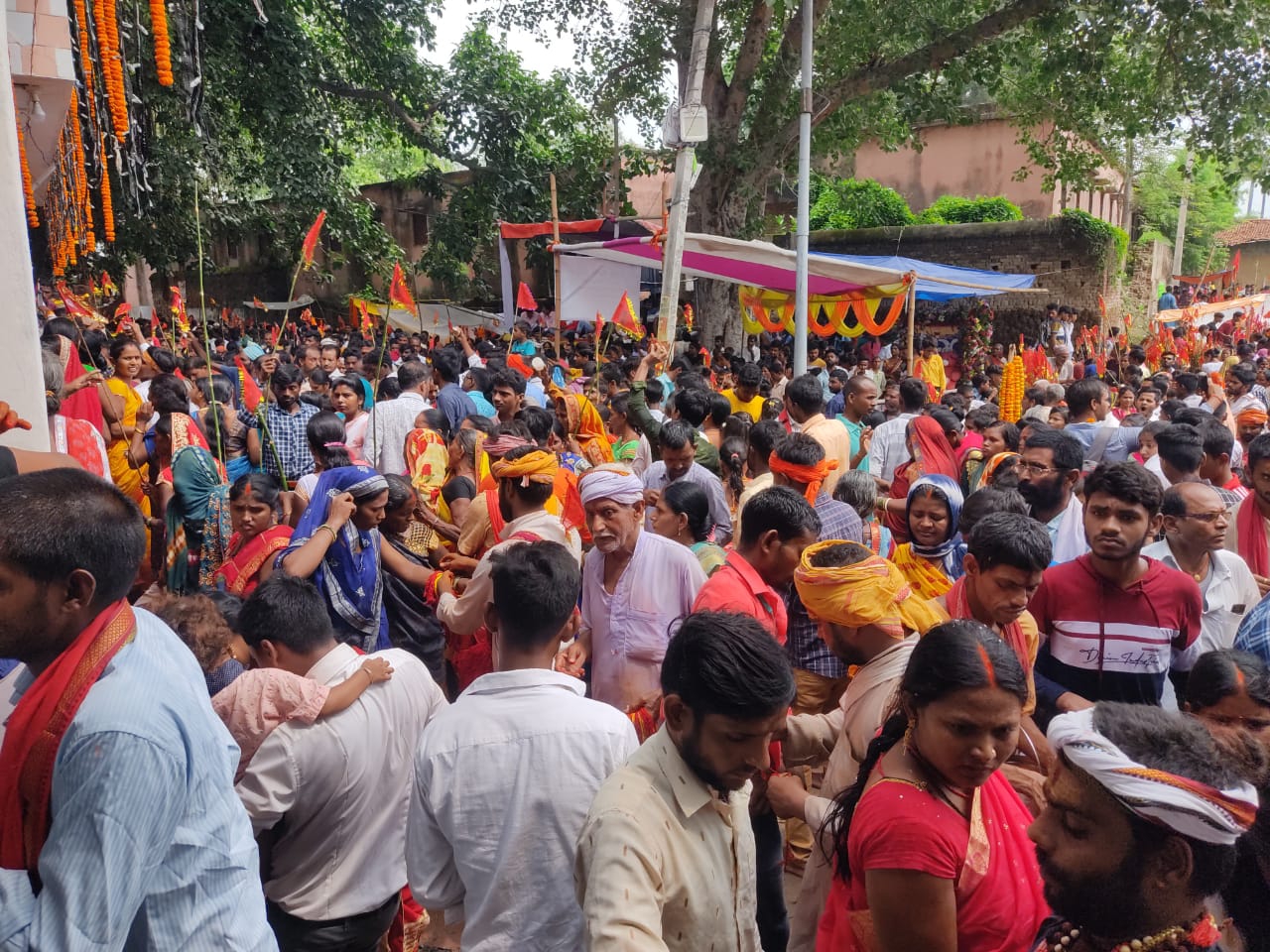 Devotees went to worship on Nag Panchami, offered milk and lava to Nag ...
