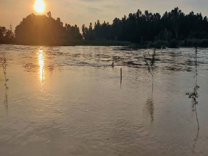 Water reached 12,700 cusecs in Markanda river till evening, water level ...