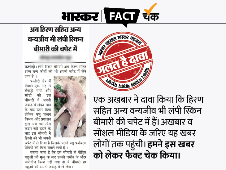 जानिए- क्यों उभर रही हैं वन्यजीव की स्किन पर गांठें, क्या बोले एक्सपर्ट ...