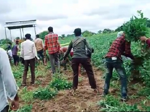 रतलाम | Ratlam - Dainik Bhaskar