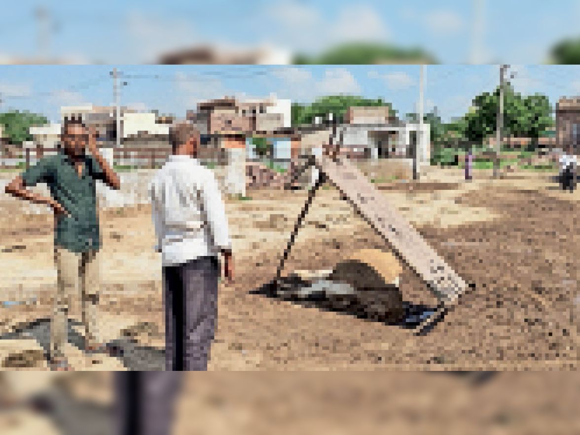 पाली | Pali (Marwar) - Dainik Bhaskar