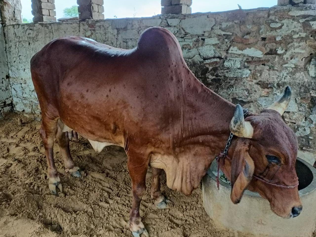 अलवर | Alwar - Dainik Bhaskar