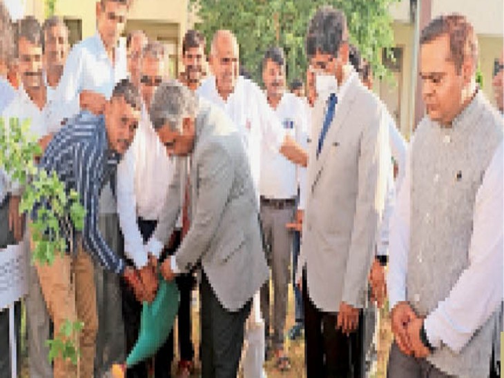 अलवर | Alwar - Dainik Bhaskar