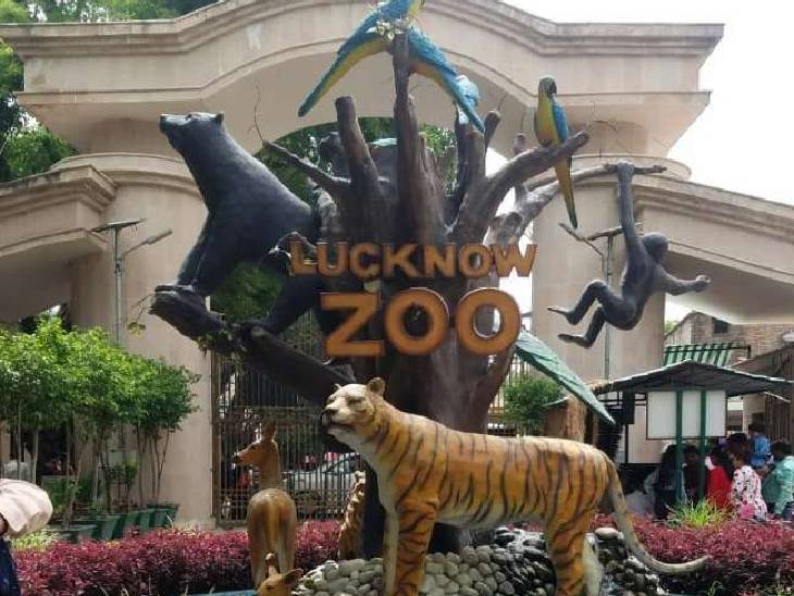 Country's first night safari to be built in Lucknow, zoological park in ...