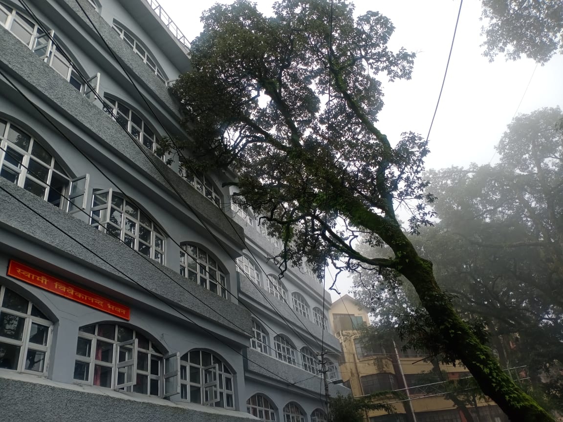 Ban tree Bend In HPU | HPU में बान का पेड़ हुआ टेढ़ा: विवेकानंद भवन और ...