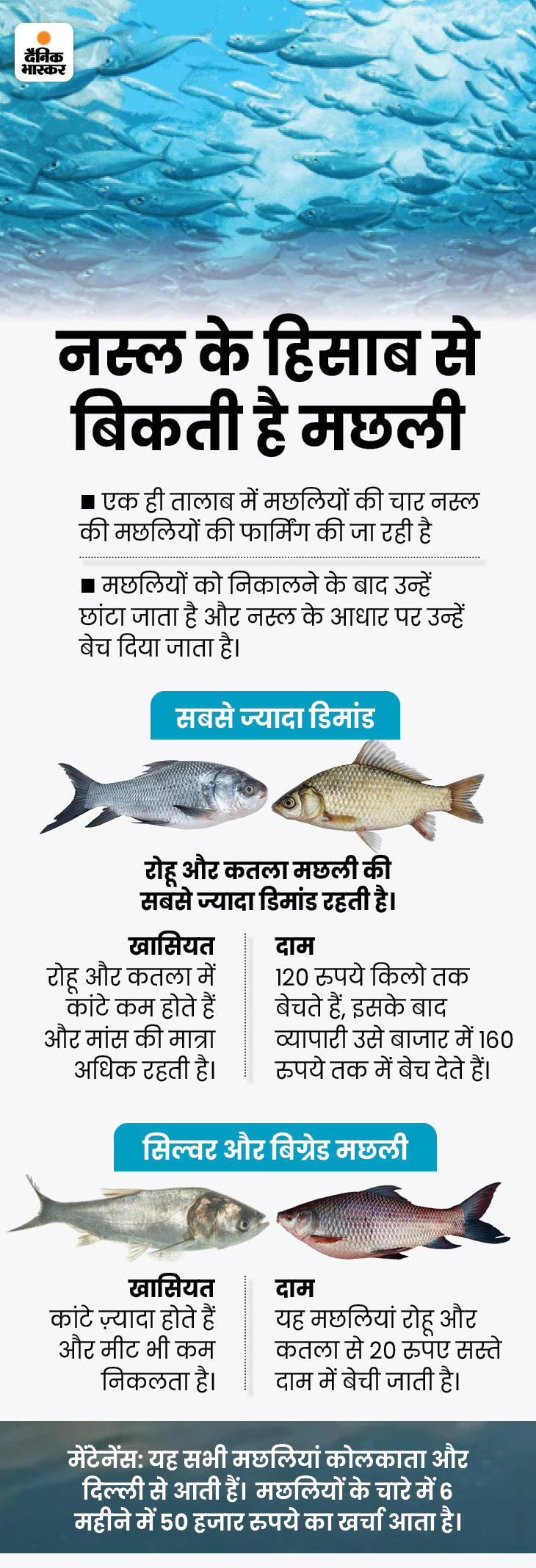 Rajasthan Crorepati Farmer Success Story; Nihal Singh Kaman Fish ...