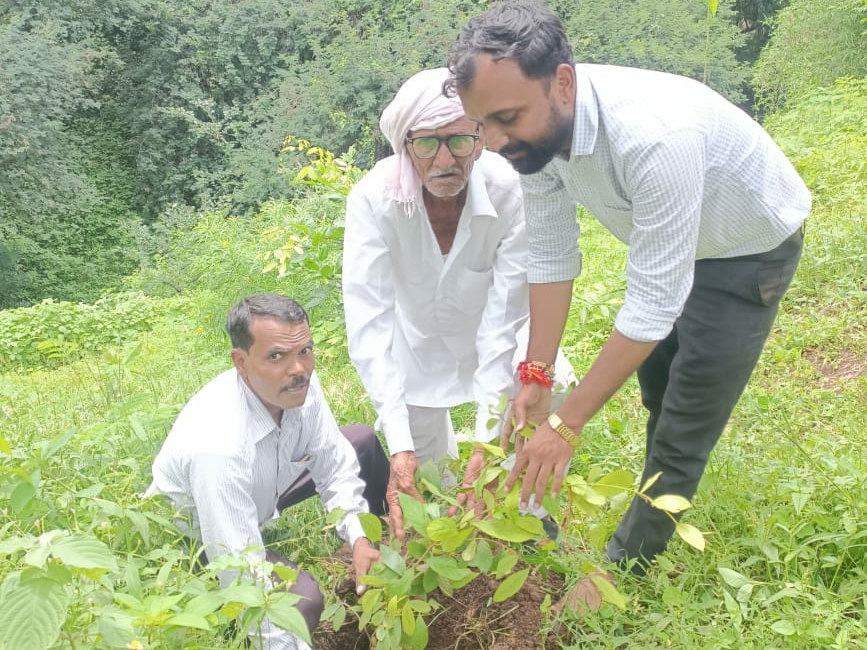 Planted more than 500 saplings so far under Pollution Free India ...