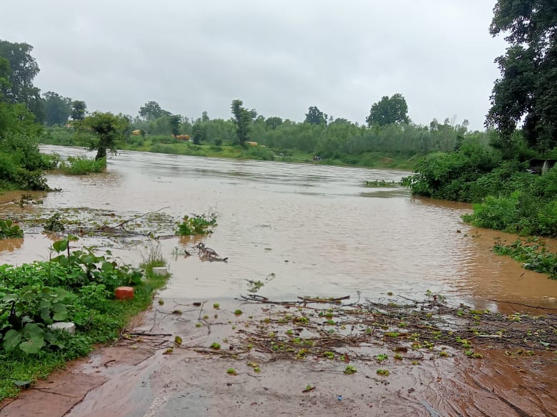 कटनी | Katni - Dainik Bhaskar