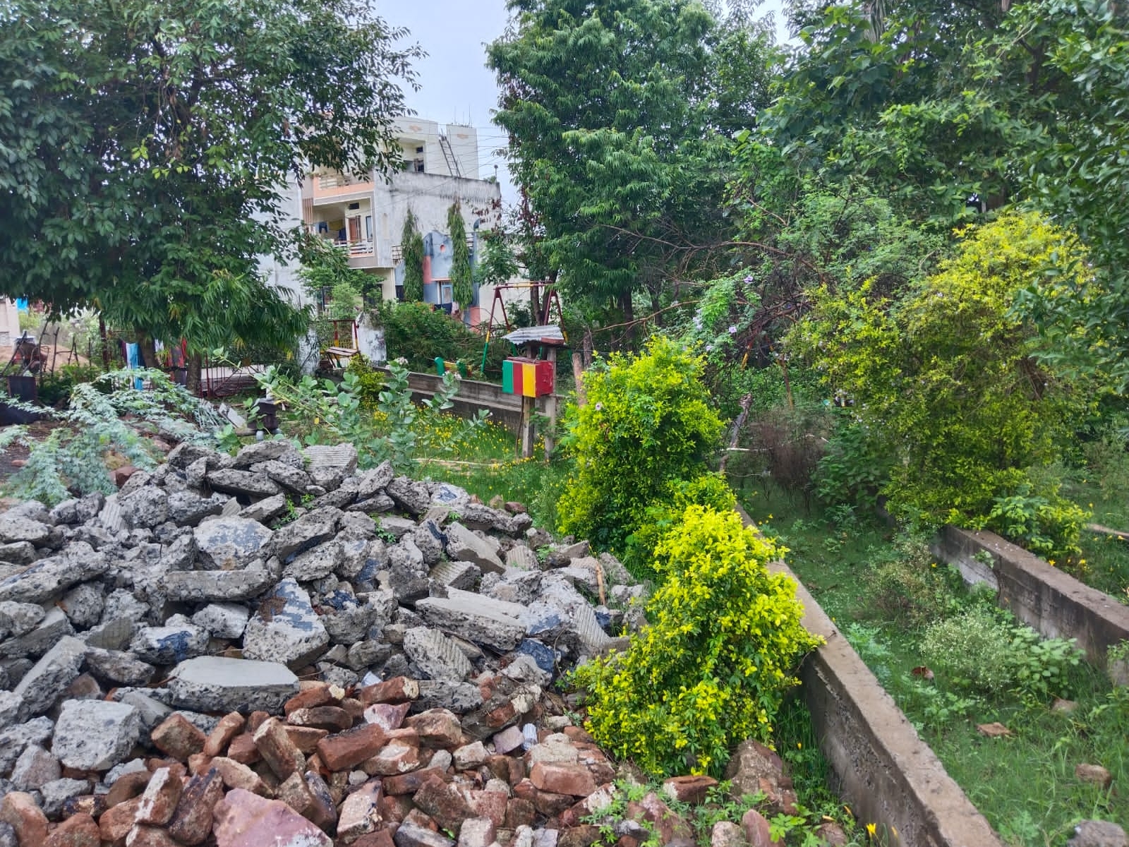 Colonies deprived of basic facilities complained to SDM, said ...