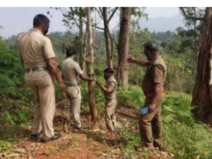 7 candidates became Range Forest Officer | 7 अभ्यर्थी बने रेंज फॉरेस्ट ...