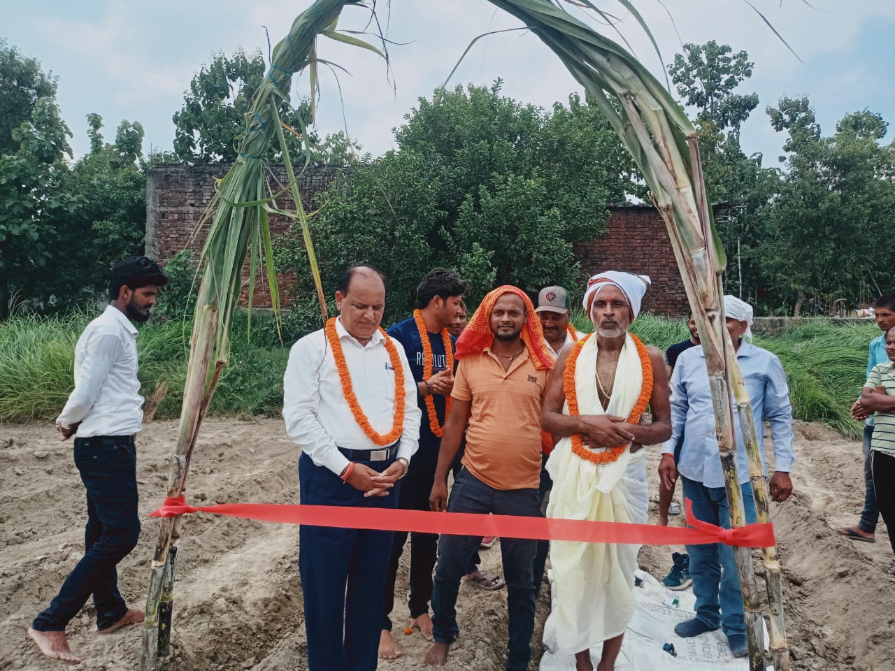 Avadh Sugar Mill, Dhadha got the sowing of new sugarcane species, the ...