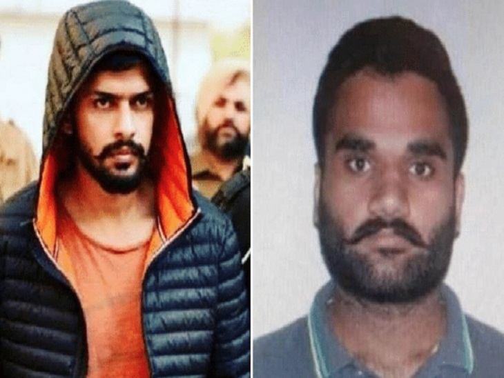 Lawrence-Goldy Brar Gang; Davinder Bambiha Gangster Mandeep Killed In ...